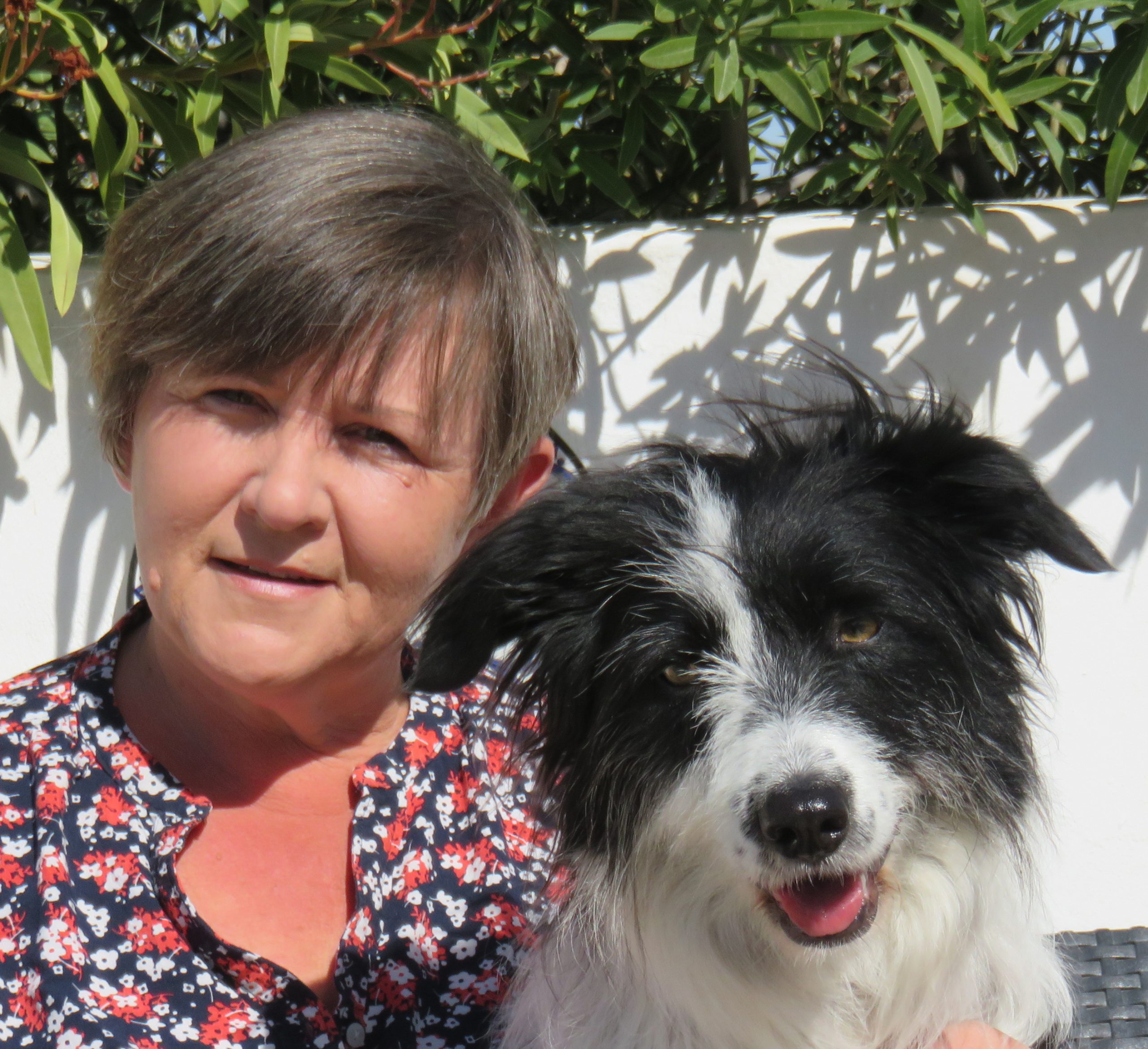 Canine Behavior And Training Expert