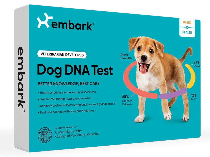 Best Dog DNA Tests: Are They Worth It? - Depend On Dogs